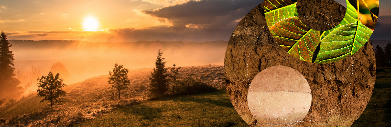 How industry circularity definitions differ from nature and why it matters